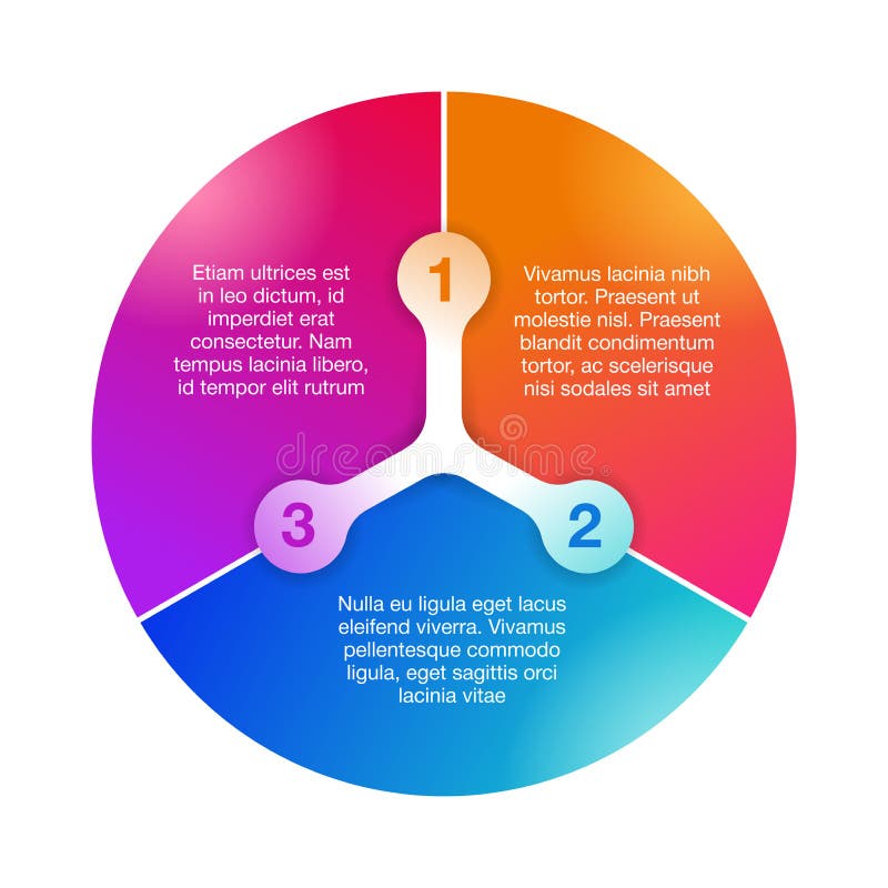 Infographics with Three Points in Segment Form Stock Vector ...