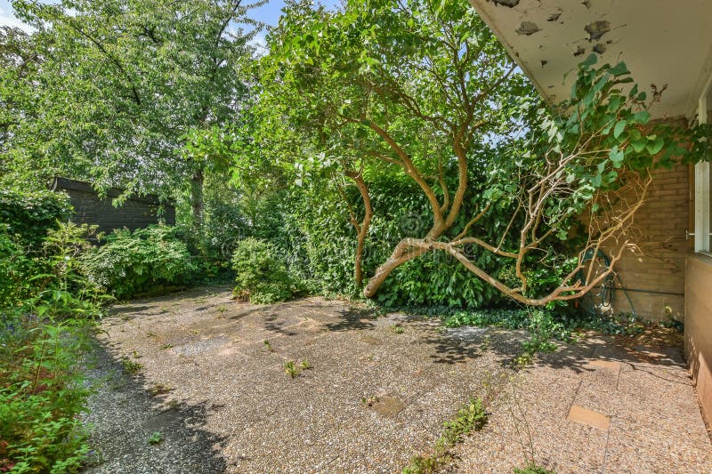 An Empty Yard with a Tree and a House Editorial Stock Image - Image of ...