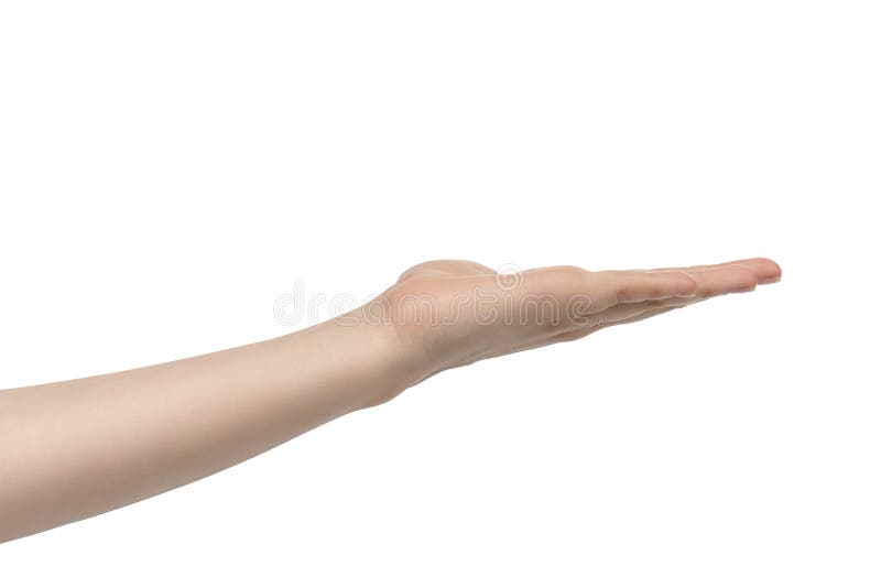 Woman Hand To Hold Something Flat Stock Photos - Free & Royalty-Free ...