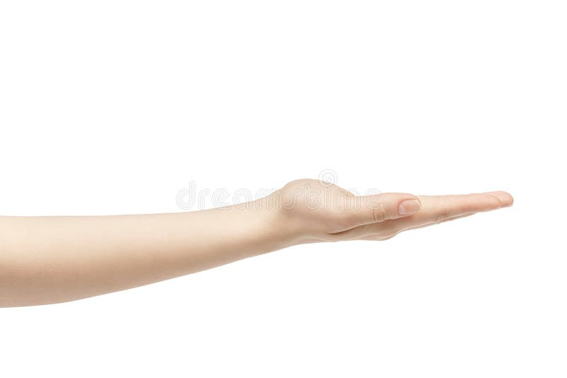 Empty Young Female Hand To Hold Something Straight Stock Photo - Image ...