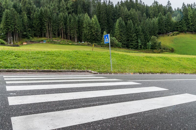 Empty Zebra Crosswalk Near a Forest Stock Photo - Image of city, blue ...