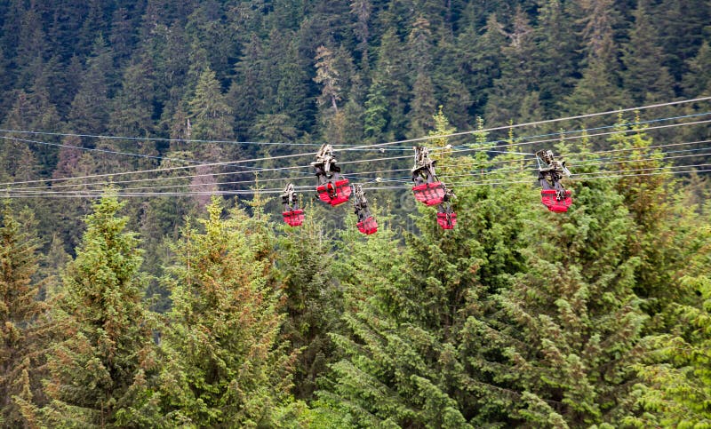 Empty Zip Line Harnesses stock photo. Image of speed - 88701876