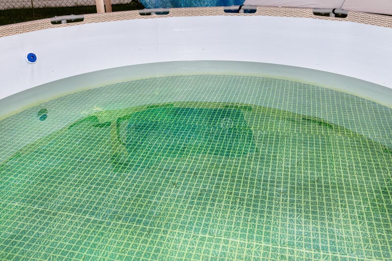 Emptying Used Water from a Garden Swimming Pool Using a Home Water Pump ...