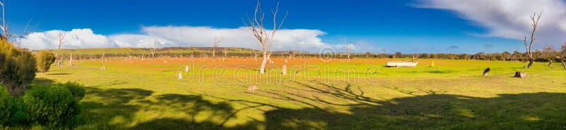 Emu Bay Natural Park in Kangaroo Island, Australia. Panoramic View ...