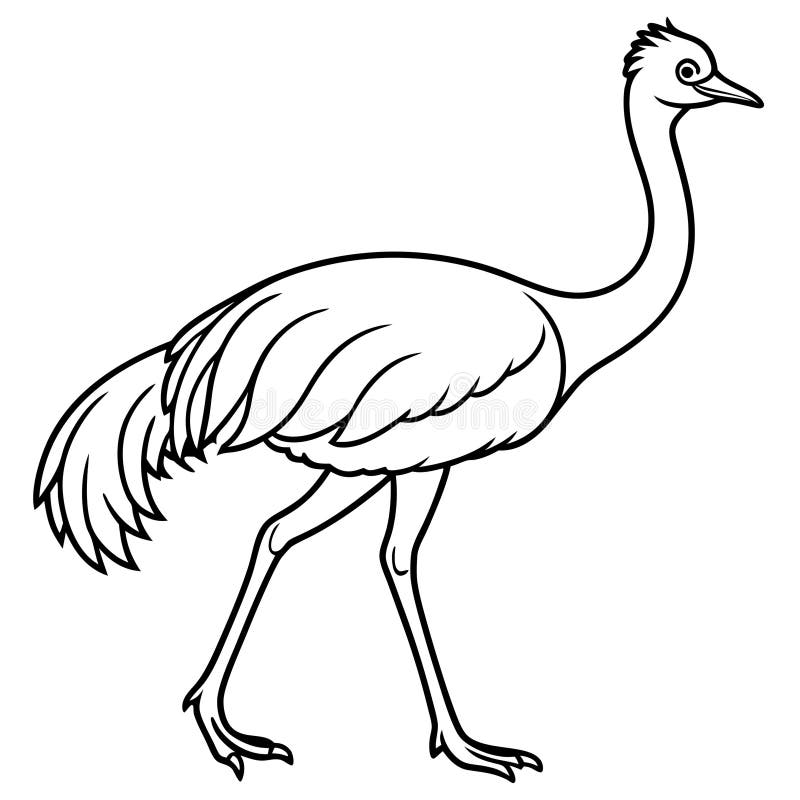 Emu bird walks icon vector stock vector. Illustration of outline ...