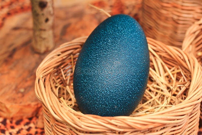 Emu eggs stock photo. Image of eggshell, objects, shell - 43405648