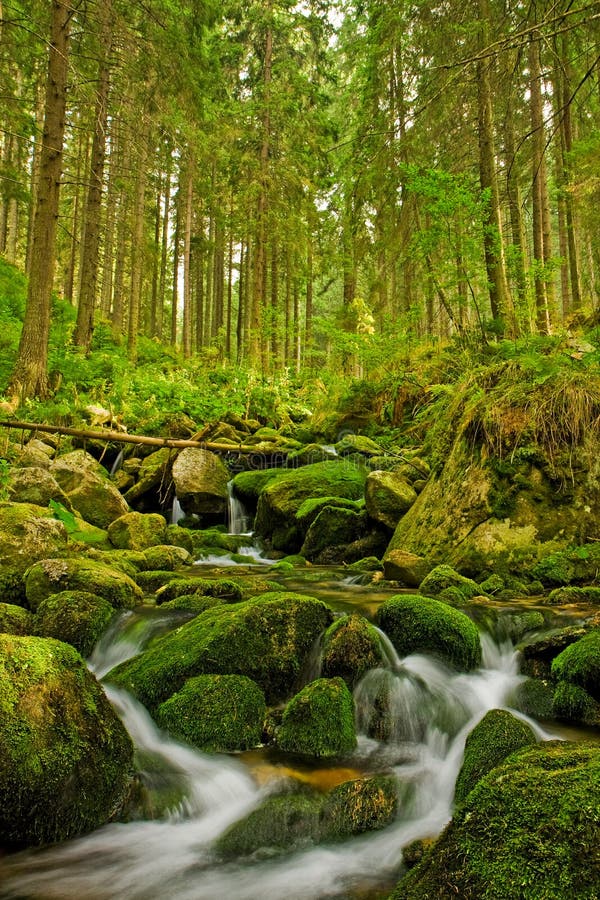 En aval image stock. Image du forrest, horizontal, torrent - 27893327