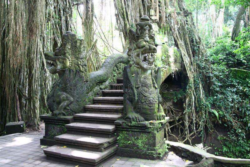 En El Bosque Del Mono De Ubud En Bali Foto de archivo - Imagen de ...