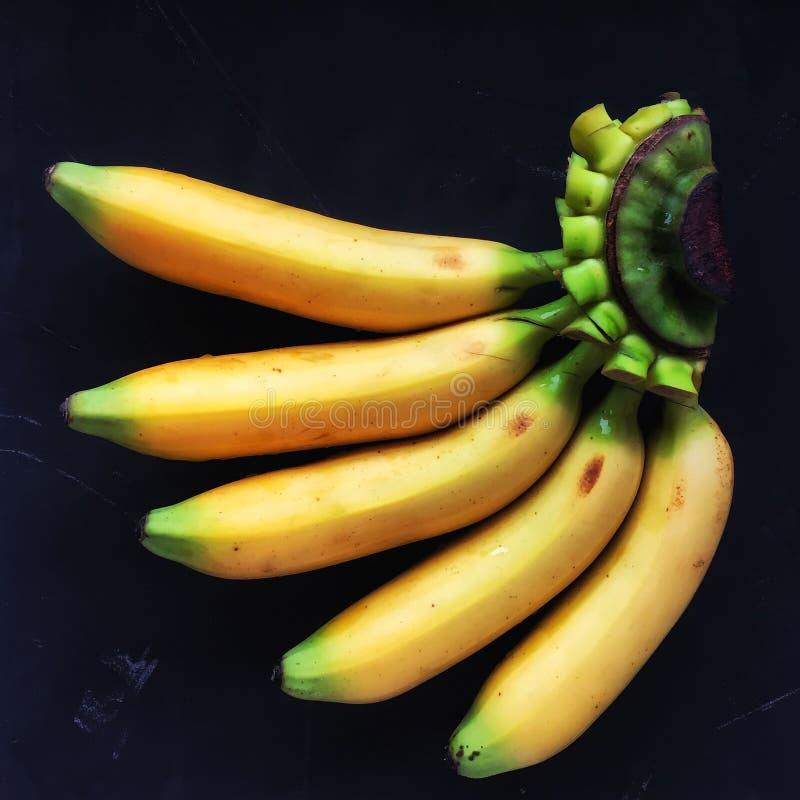 Grupp av mini- bananer arkivfoto. Bild av grupp, mini - 74865820