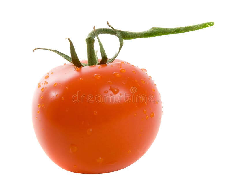 Hel Tomat Och Halva Som Isoleras På Vit Bakgrund Fotografering för ...