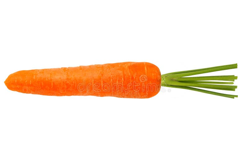 En morot på vit bakgrund fotografering för bildbyråer. Bild av grönsak ...