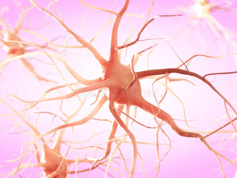 En nervcell stock illustrationer. Illustration av förstoring - 74203077