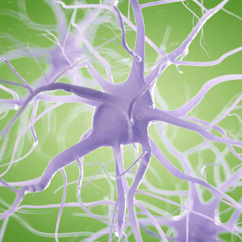 En nervcell stock illustrationer. Illustration av anatomical - 74204191