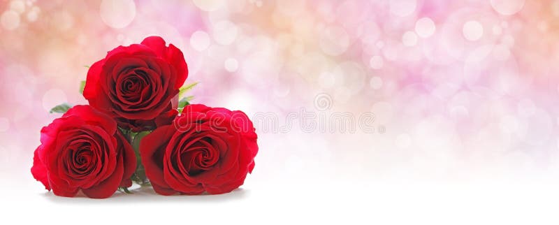 Trois Roses Rouges Sur Le Fond De Parchemin Photo stock - Image du ...