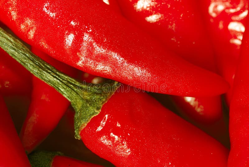 Encarnado! foto de stock. Imagem de cozinheiro, ingredientes - 1676432