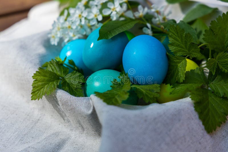Enchanted Blue and Green Eggs Nestled in a White Bag Stock Image ...