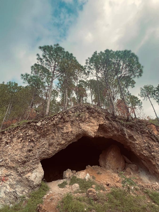 Enchanted Cave Hidden in a Lush Pine Forest at Sunset Stock Image ...