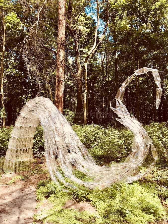 Enchanted Forest Art Installation in Kyiv, Ukraine - a Plastic Swan ...