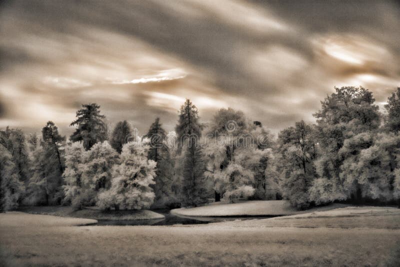 Enchanted Forest stock image. Image of enchanted, autumn - 41649053