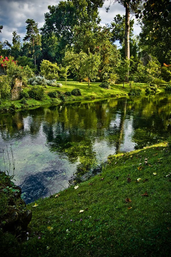 Enchanted forest stock photo. Image of mere, bush, green - 33092956