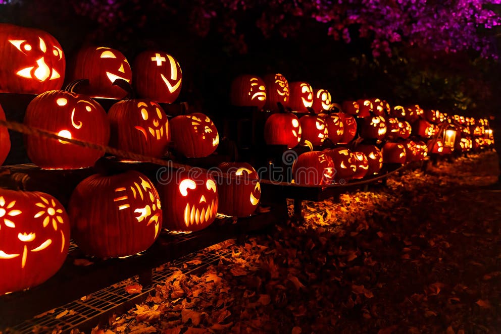Enchanted Haunted Forest Path: Glowing Jack-o -Lantern Pumpkins at ...