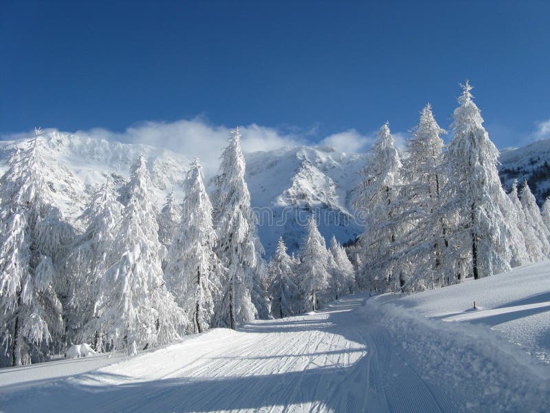 Landscape after Heavy Snowfall Stock Image - Image of large ...