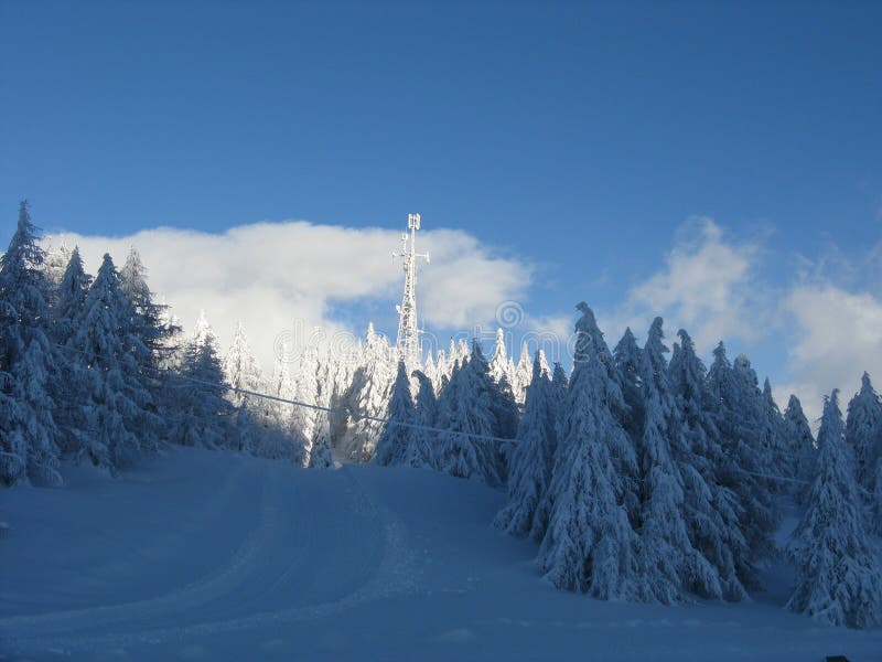 Heavy snowfall stock photo. Image of nature, snowfall - 104736686