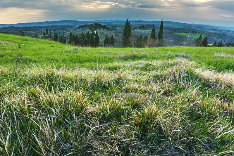 Enchanted Landscape with Overcast Sky Stock Photo - Image of meadow ...
