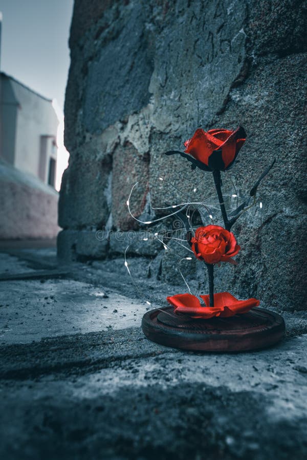 Beauty Beast Wedding Dessser Stock Photos - Free & Royalty-Free Stock ...