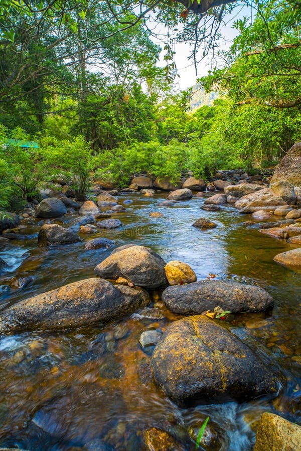 Enchanted Waters Shallow Stream and Rocky Bed in the Forest Embrace ...