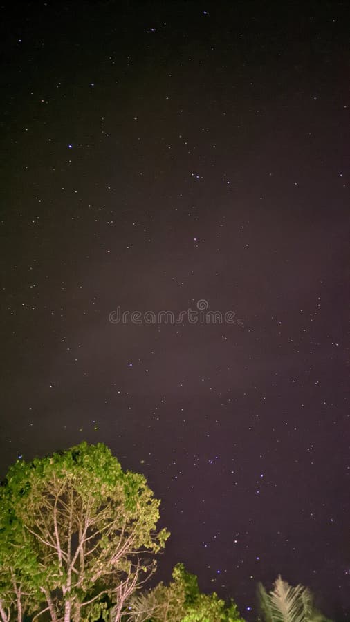 Enchanting Night Dancing Tree and Stars in the Darkness Stock Image ...