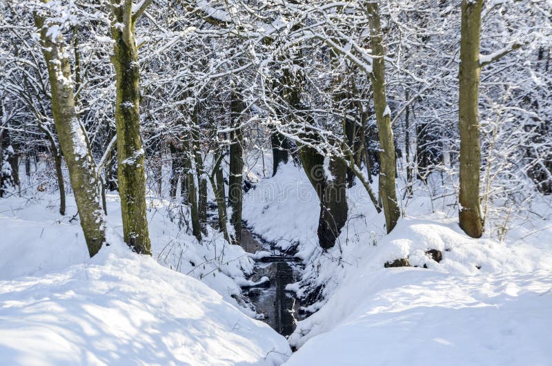 Enchanting Snowy Winter Landscape Stock Image - Image of scene, nature ...