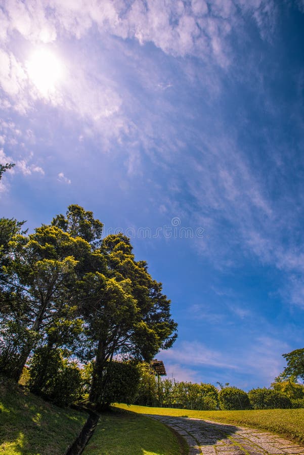 Enchanting Stone Pathway Under a Bright Blue Sky Stock Image - Image of ...