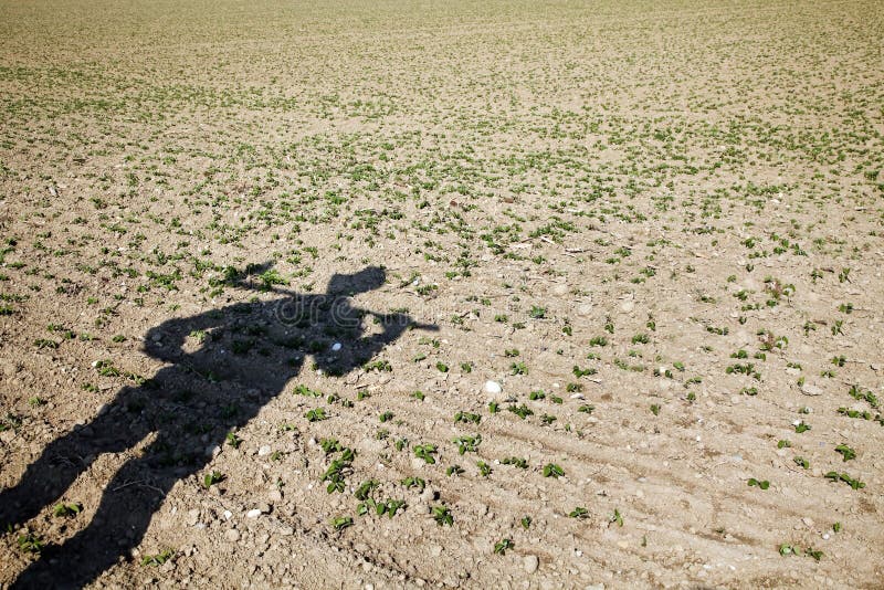 Enclosed Field with Small Plants Stock Image - Image of landscape ...