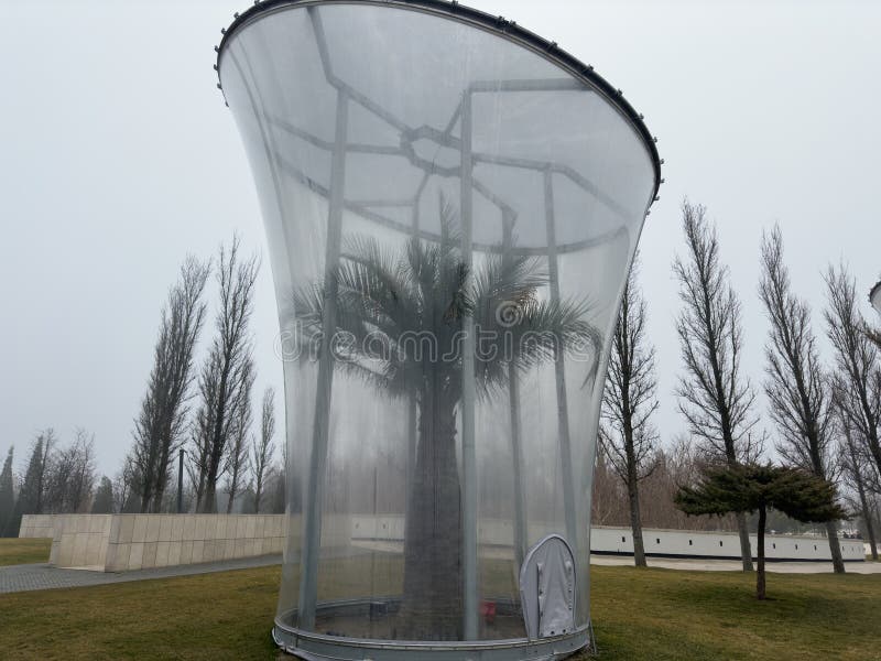 Enclosed Palm Tree Inside a Transparent Protective Structure Stock ...