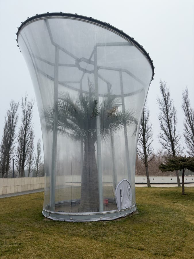 Enclosed Palm Tree Inside a Transparent Protective Structure Stock ...