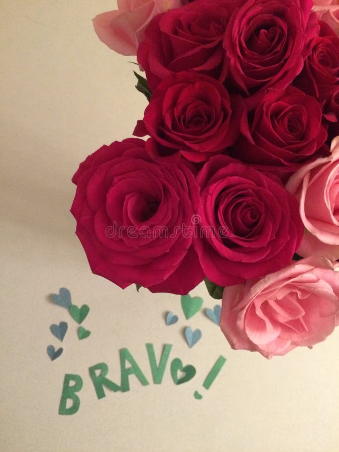 Encore Bouquet Stock Photos - Free & Royalty-Free Stock Photos from ...