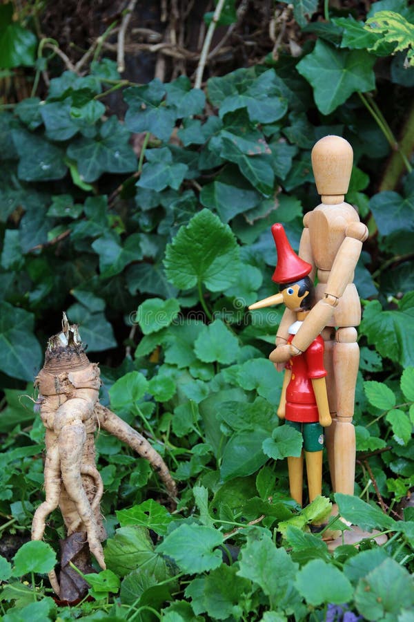 Encounter with the Stranger, Marionette and the Helpful Puppet Meet an ...