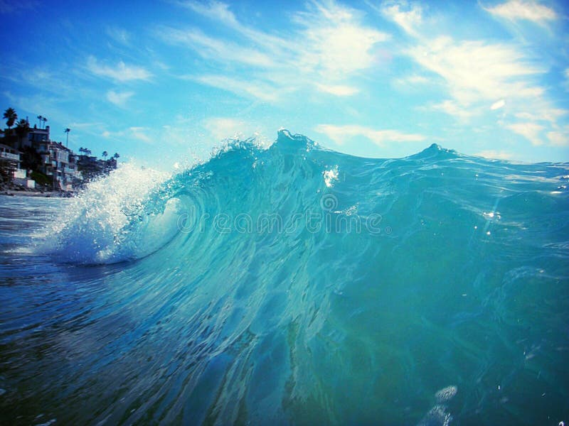 Una Onda Que Se Encrespa Con Las Palmeras En Laguna Beach, California ...