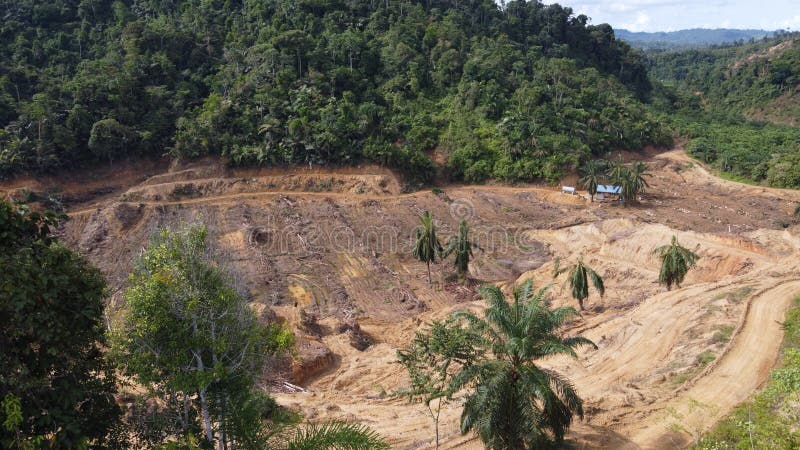 Encroachment of Forests in Aceh Indonesia Stock Image - Image of aceh ...