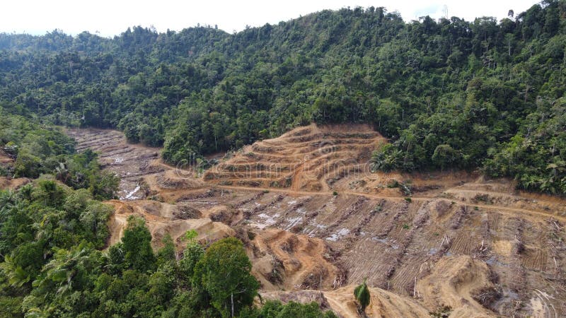 Encroachment of Forests in Aceh Indonesia Stock Photo - Image of ...
