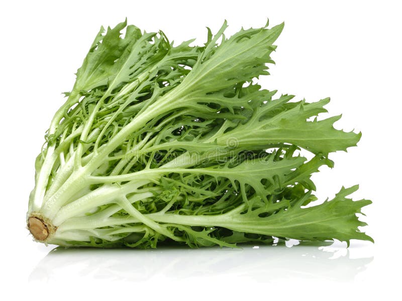 Endívia imagem de stock. Imagem de verde, endive, nutrition - 29284159