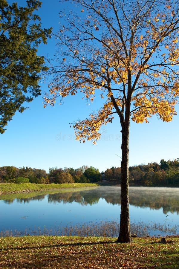 End of Autumn stock image. Image of still, weeds, reflection - 17024013