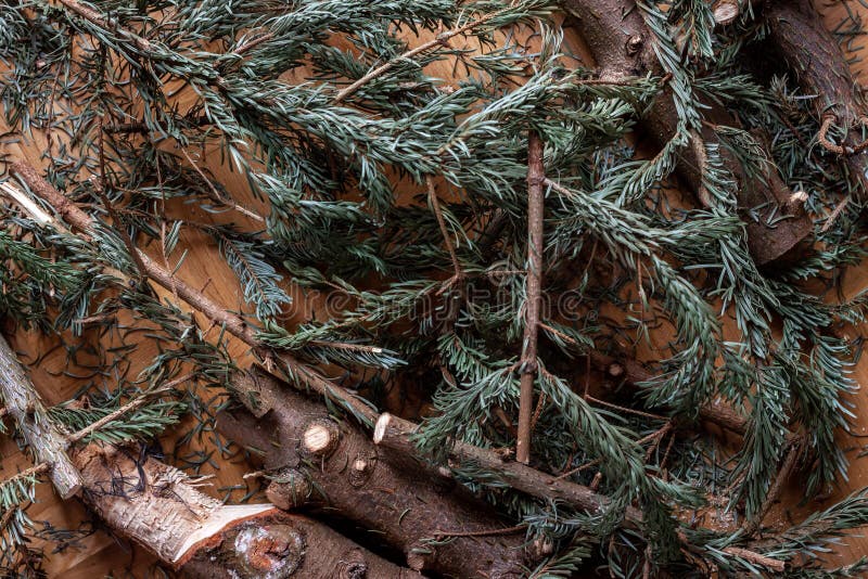End of Christmas Fir Tree Cut into Pieces Stock Image - Image of ...
