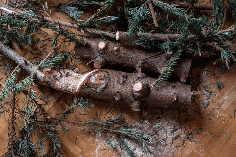 End of Christmas Fir Tree Cut into Pieces Stock Image - Image of ...