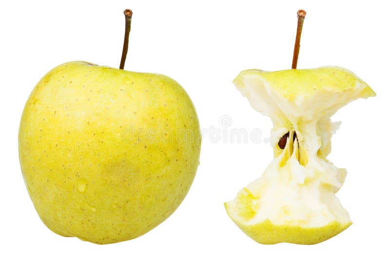 Core Whole Golden Delicious Apple Stock Photos - Free & Royalty-Free ...