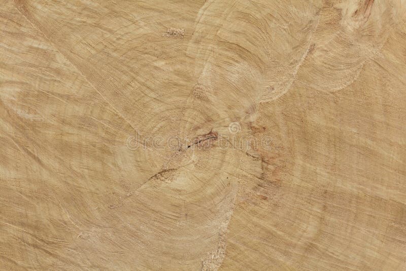 End Cut of a Big Tree Texture Stock Photo - Image of straight, rings ...