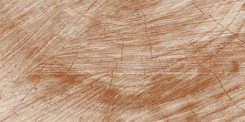 End Cut of a Tree. End Grain Wood Texture Stock Vector - Illustration ...
