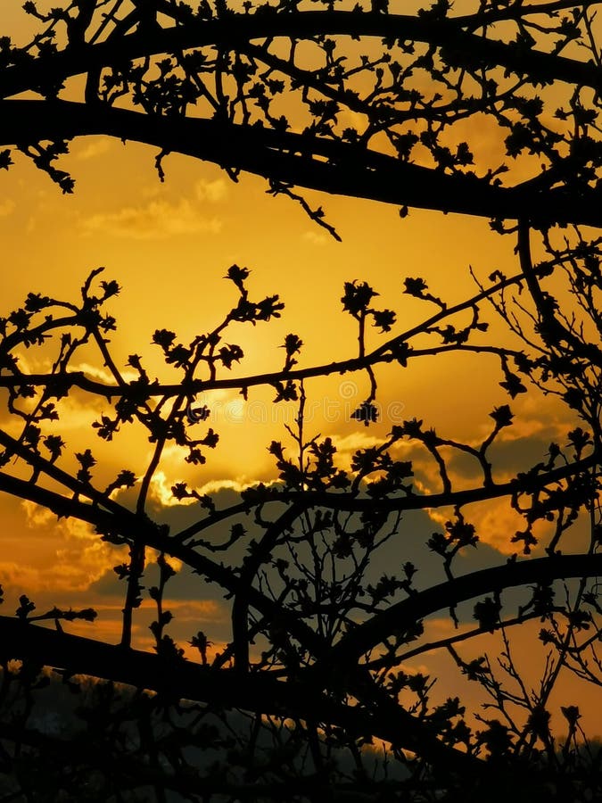 Finalized day stock photo. Image of clouds, awesome - 177620646