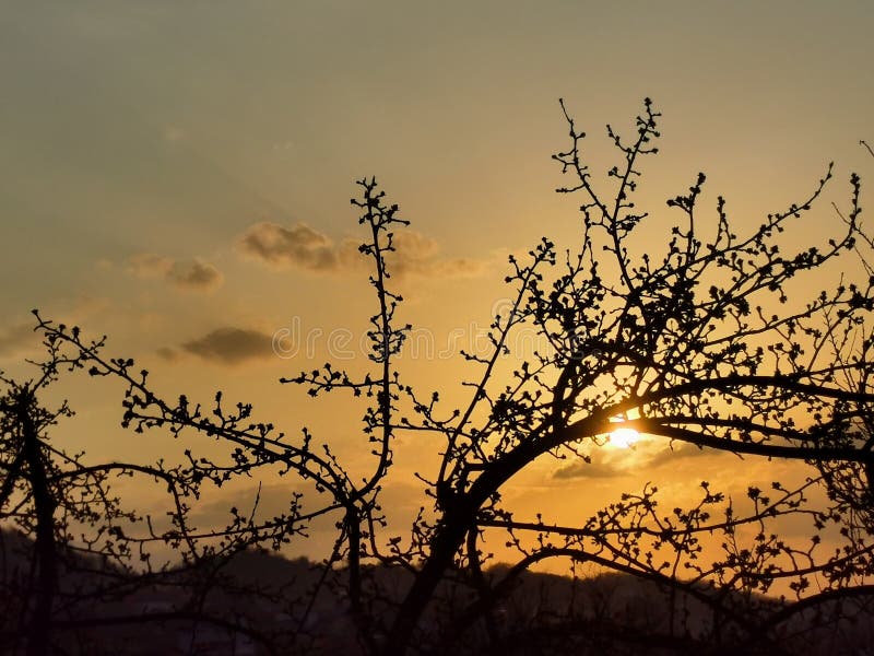 Finalized day stock image. Image of sunlight, sunrise - 177621219
